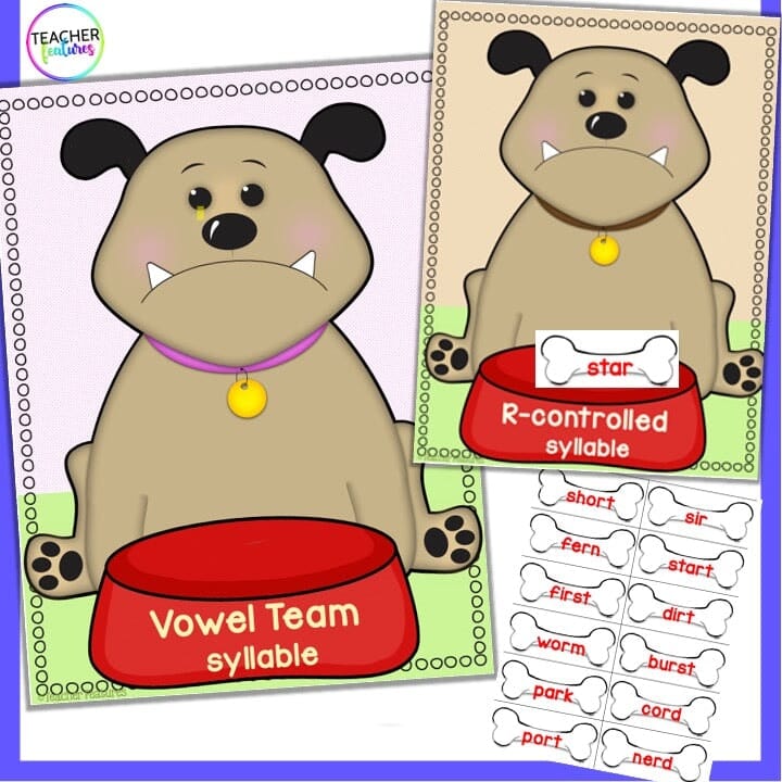 6 SYLLABLE TYPES DOG THEMED Word Sort Center